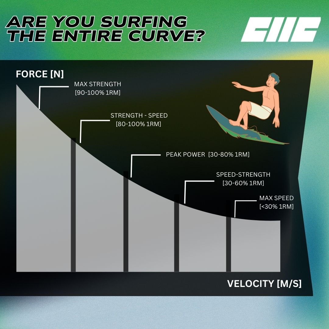 Are You Surfing The Entire Curve? | Infographic - Child To Champion